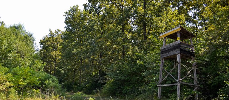 Spomenici prirode – Javno preduzeće „Srbijašume“